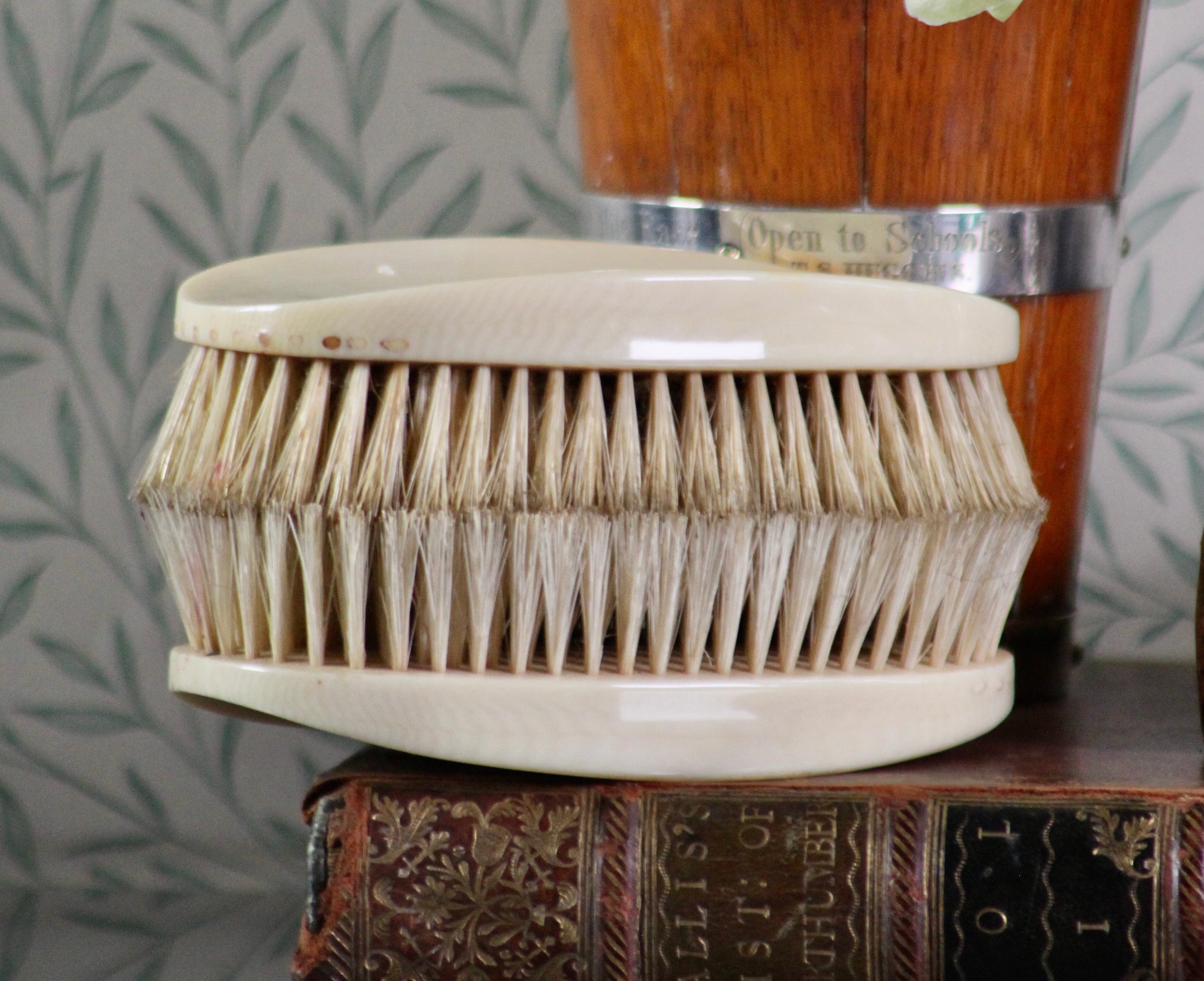 A pair of 19th century ivory backed Badger bristle cloths brushes – Hamish Clark Antiques