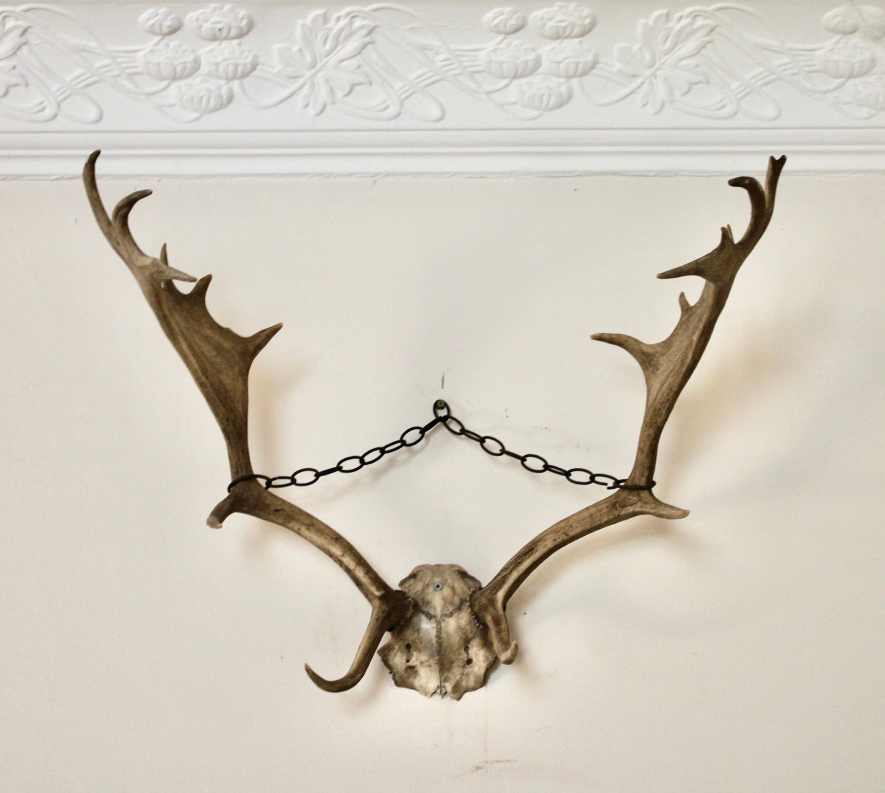 A set of vintage wall mounted Deer Antlers circa mid 20th century ...