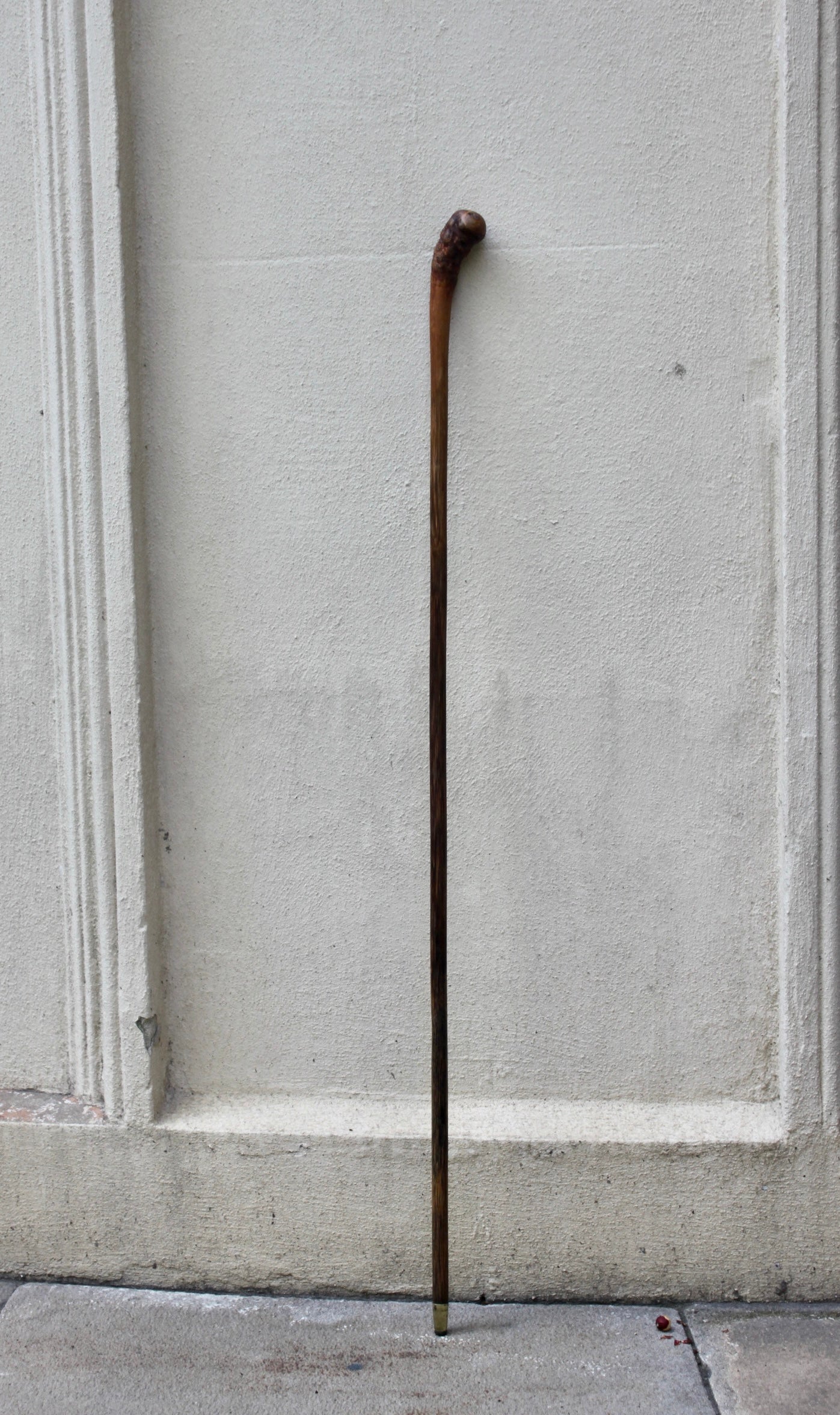 Walking cane with polished root handle Circa 1900 – Hamish Clark Antiques